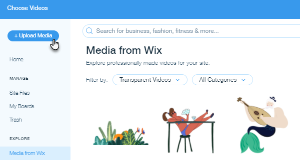 Wix Editor: Adding and Setting Up a Transparent Video | Help Center ...