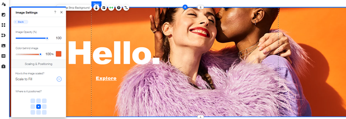 Wix Editor: Changing Your Strip Settings | Help Center | Wix.com