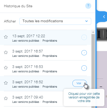 Consulter et gérer l'historique de votre site | Centre d'Assistance | Wix.com