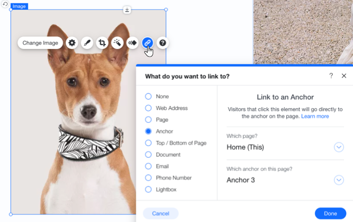 Wix Editor: Adding a Link to an Element | Help Center | Wix.com