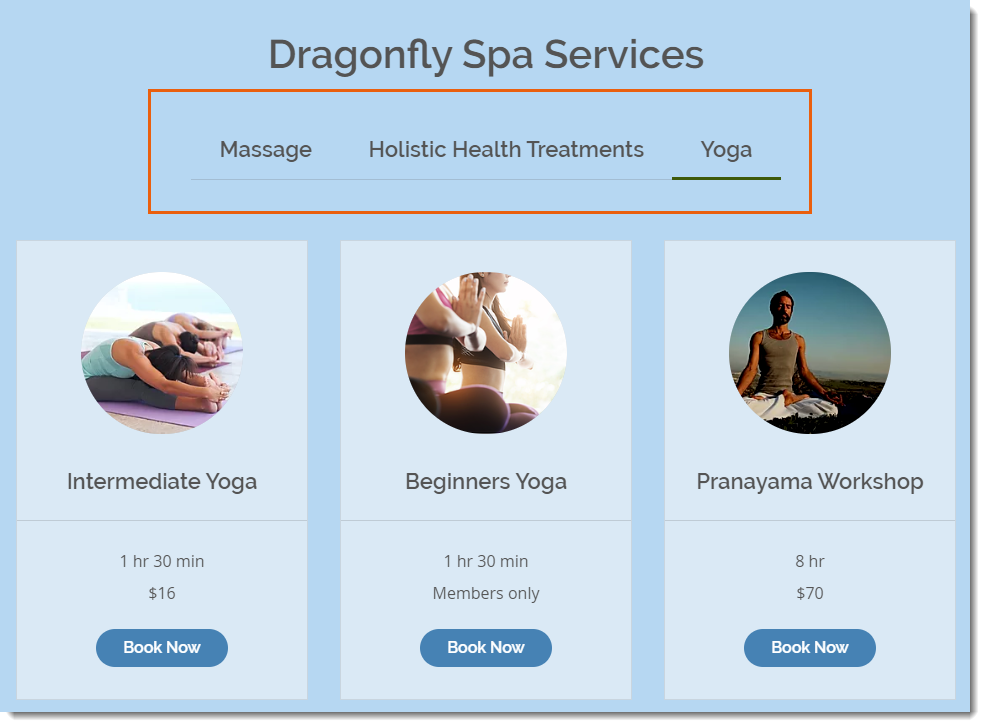 Wix Bookings: About Service Categories | Help Center | Wix.com