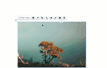 Wix Editor: Cropping an Image | Help Center | Wix.com