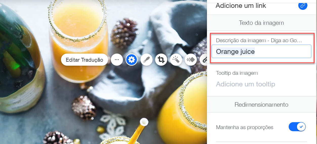 Wix Multilingual: otimizar as configurações de SEO para sites ...