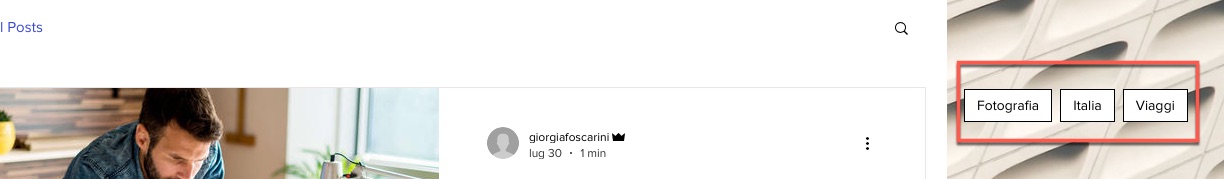 Wix Blog: gestire i tag | Centro di Apprendimento | Wix.com