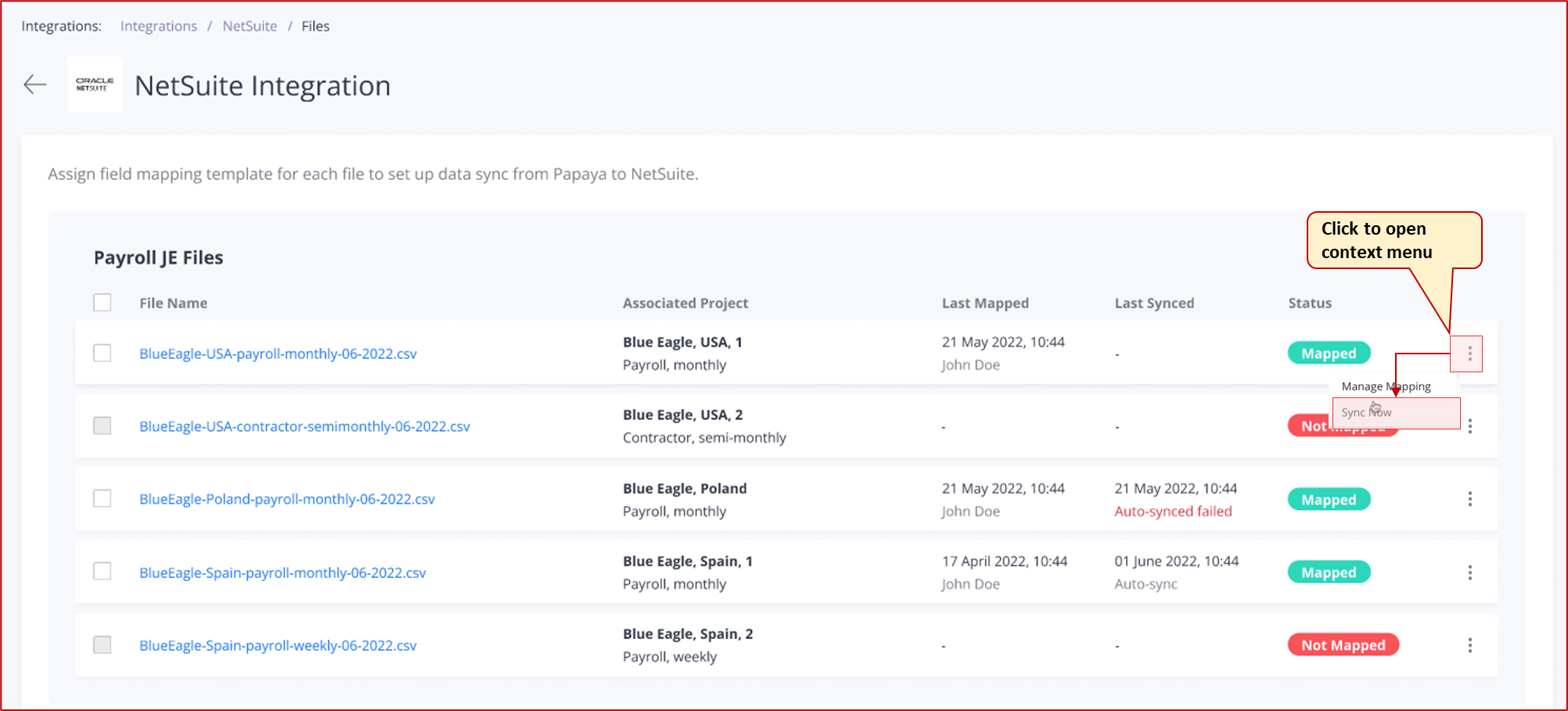NetSuite API Integration
