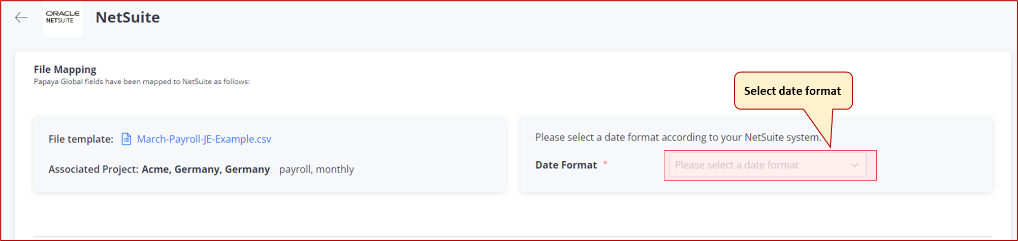 NetSuite API Integration